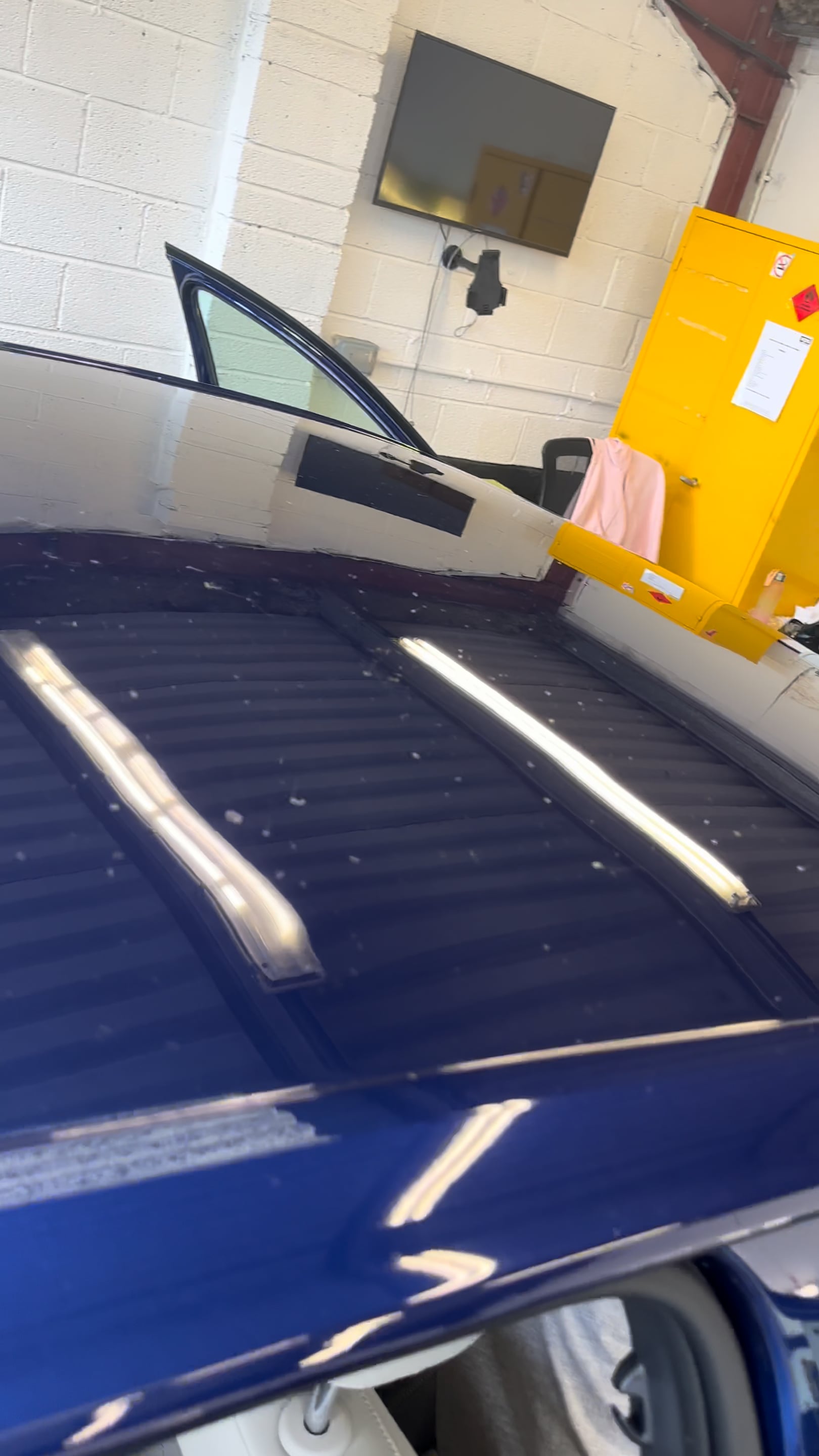 Bird lime damage pt2 on Vimeo