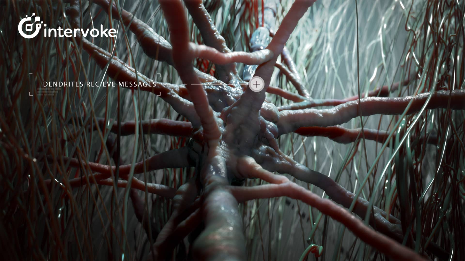 The Human Brain Documentary: Remastered on Vimeo