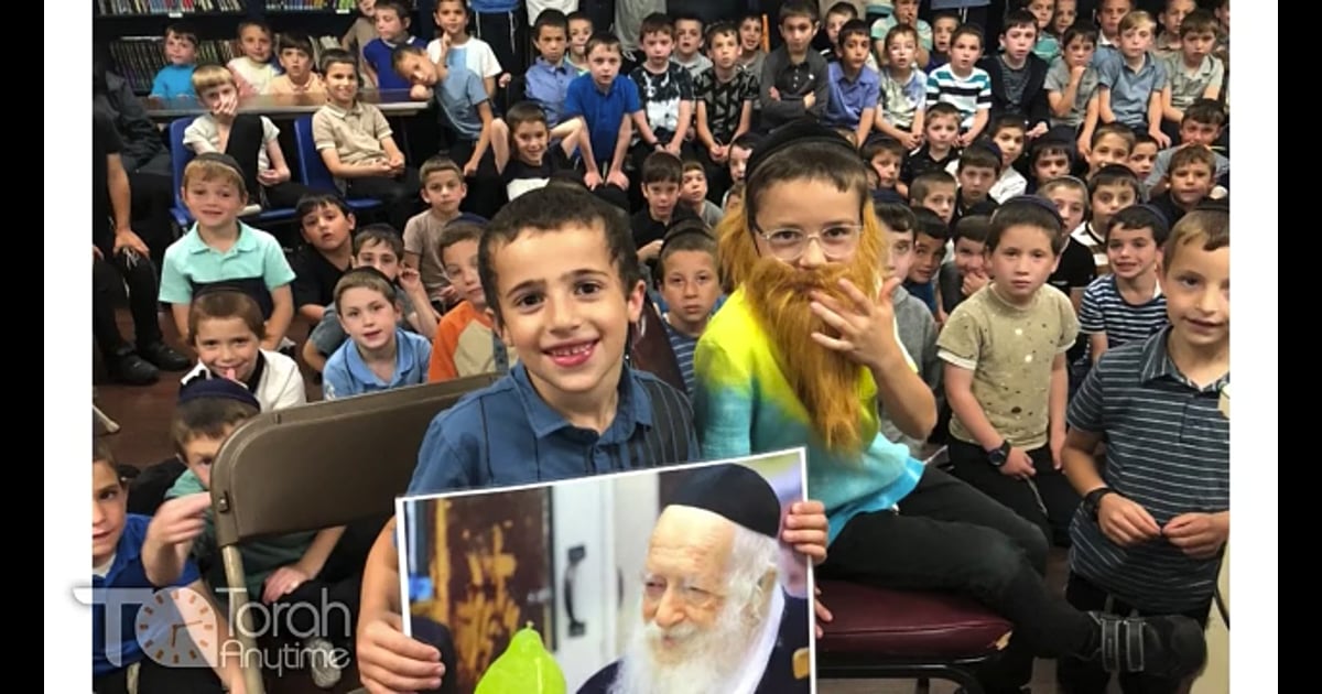 R' Maimon Elbaz | Contest: How many animals can you list that are used ...