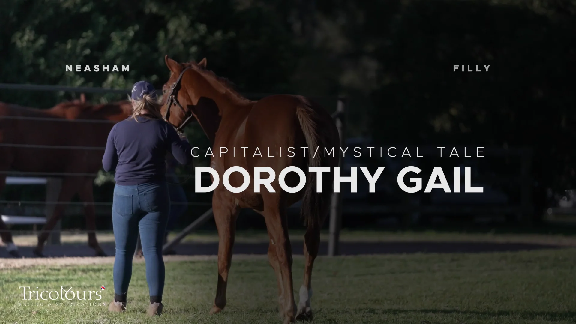 Dorothy Gail: Open Day at Hannover on Vimeo