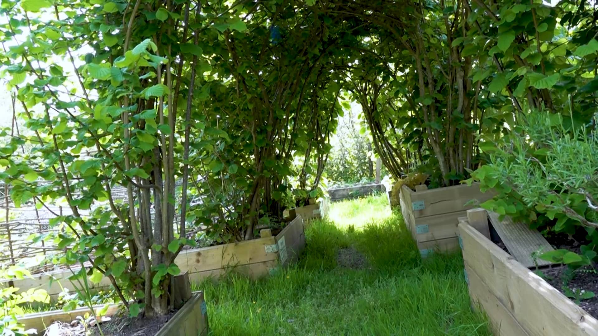 Exeter Community Garden and Compassion on Vimeo