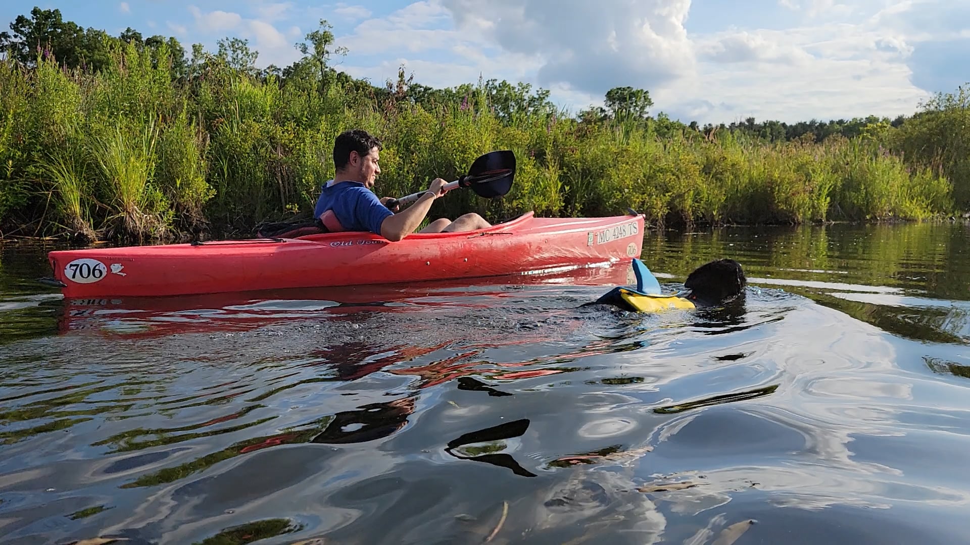 Animal Intuition Dog Training - Home