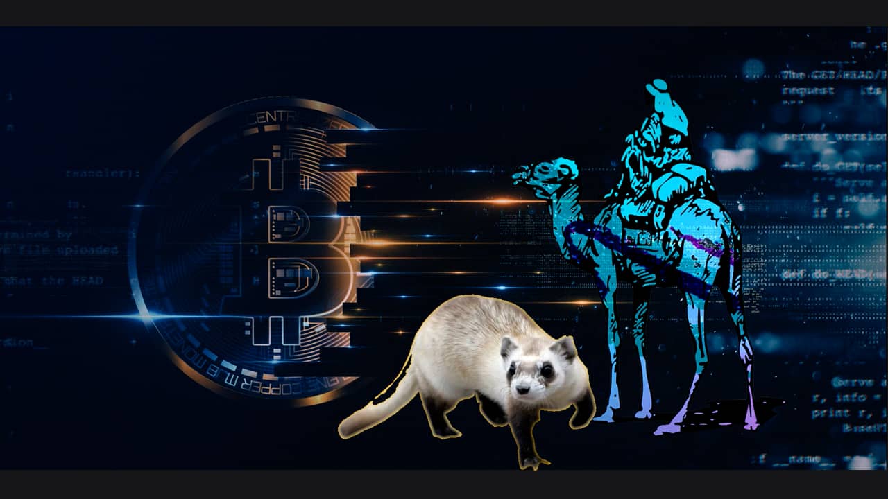 Navigating Mega Darknet: The Secure, Anonymized Online Marketplace on Vimeo