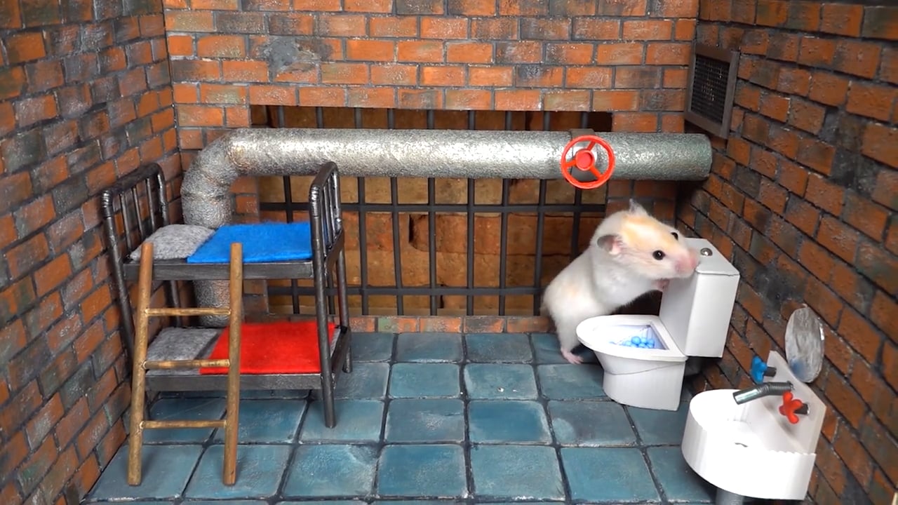 -- Hamster Escapes the Underground Maze for Pets on Vimeo