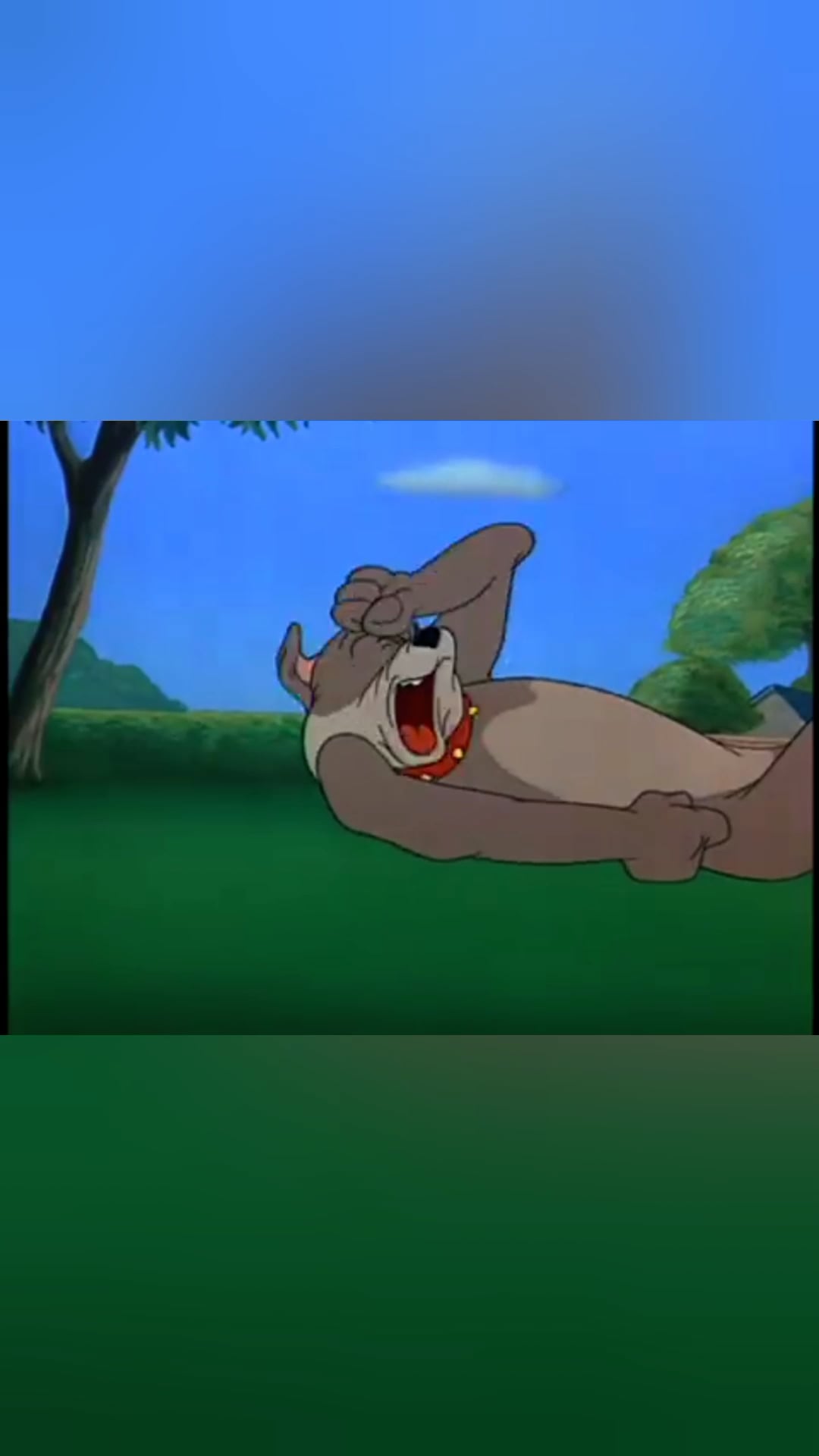 Tom amd jerry | jerry fight on Vimeo