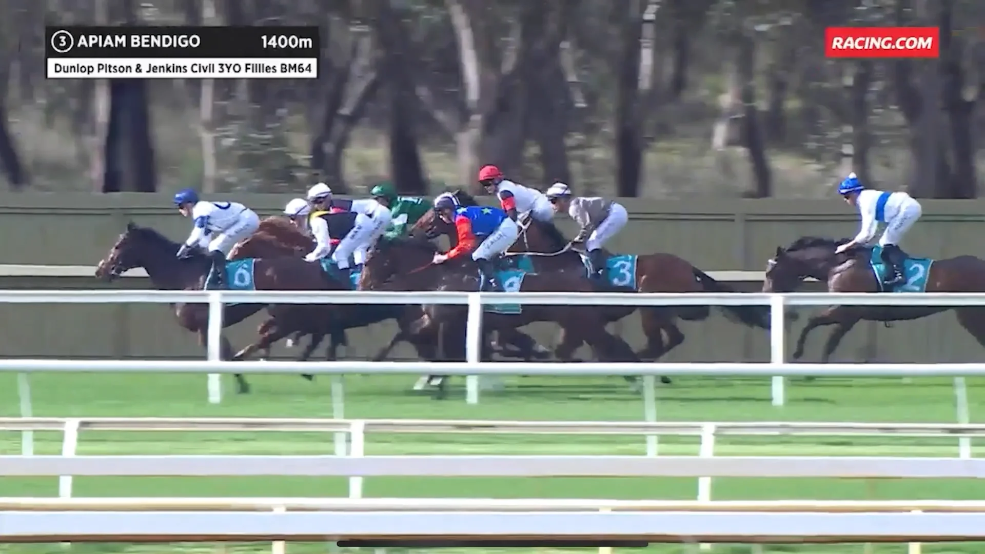 Electric Impulse on Vimeo