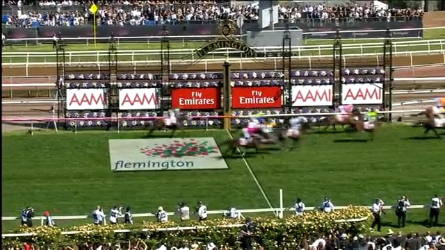 Prized Icon - Stallion | Breednet