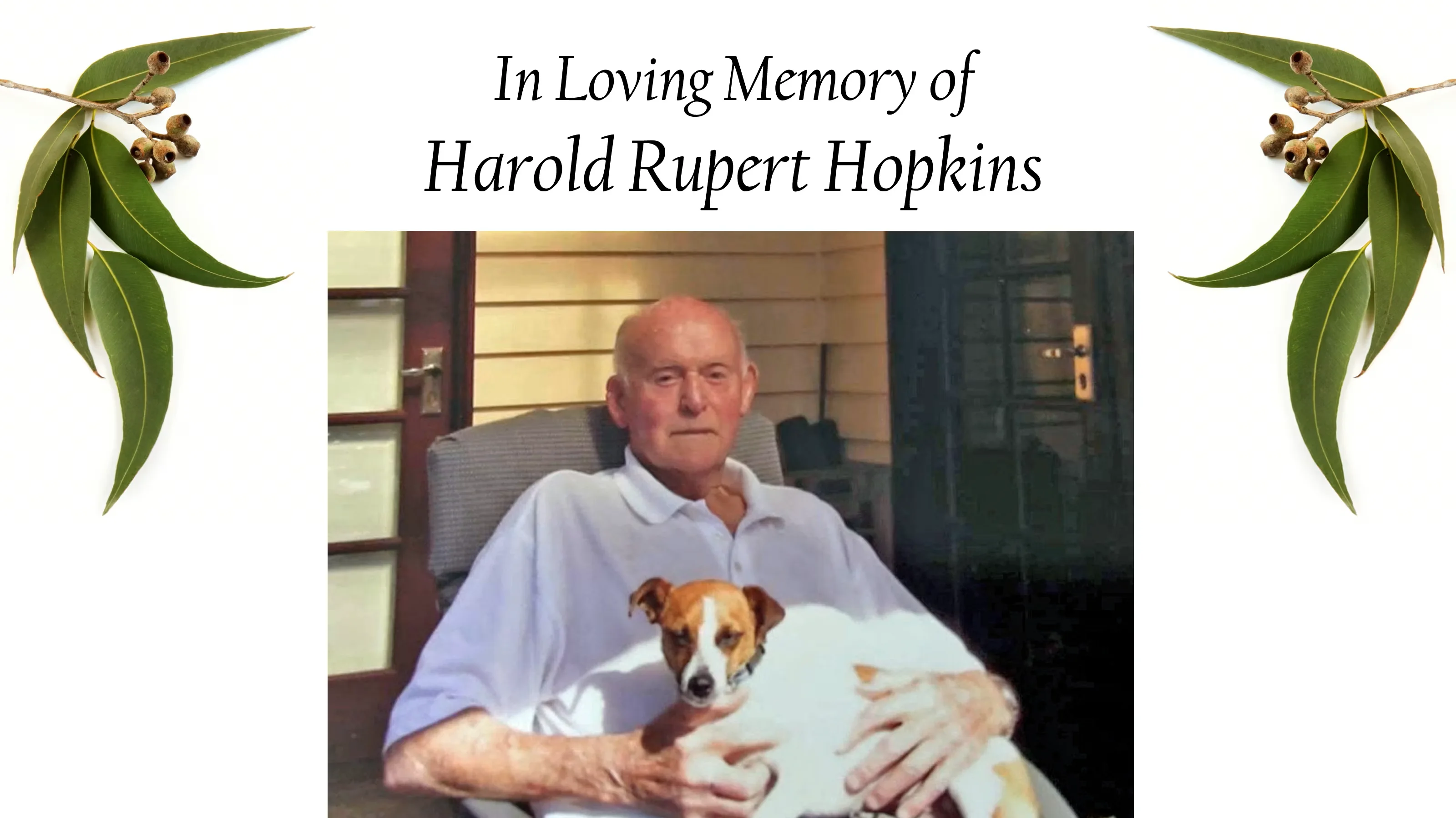 Harold Hopkins on Vimeo