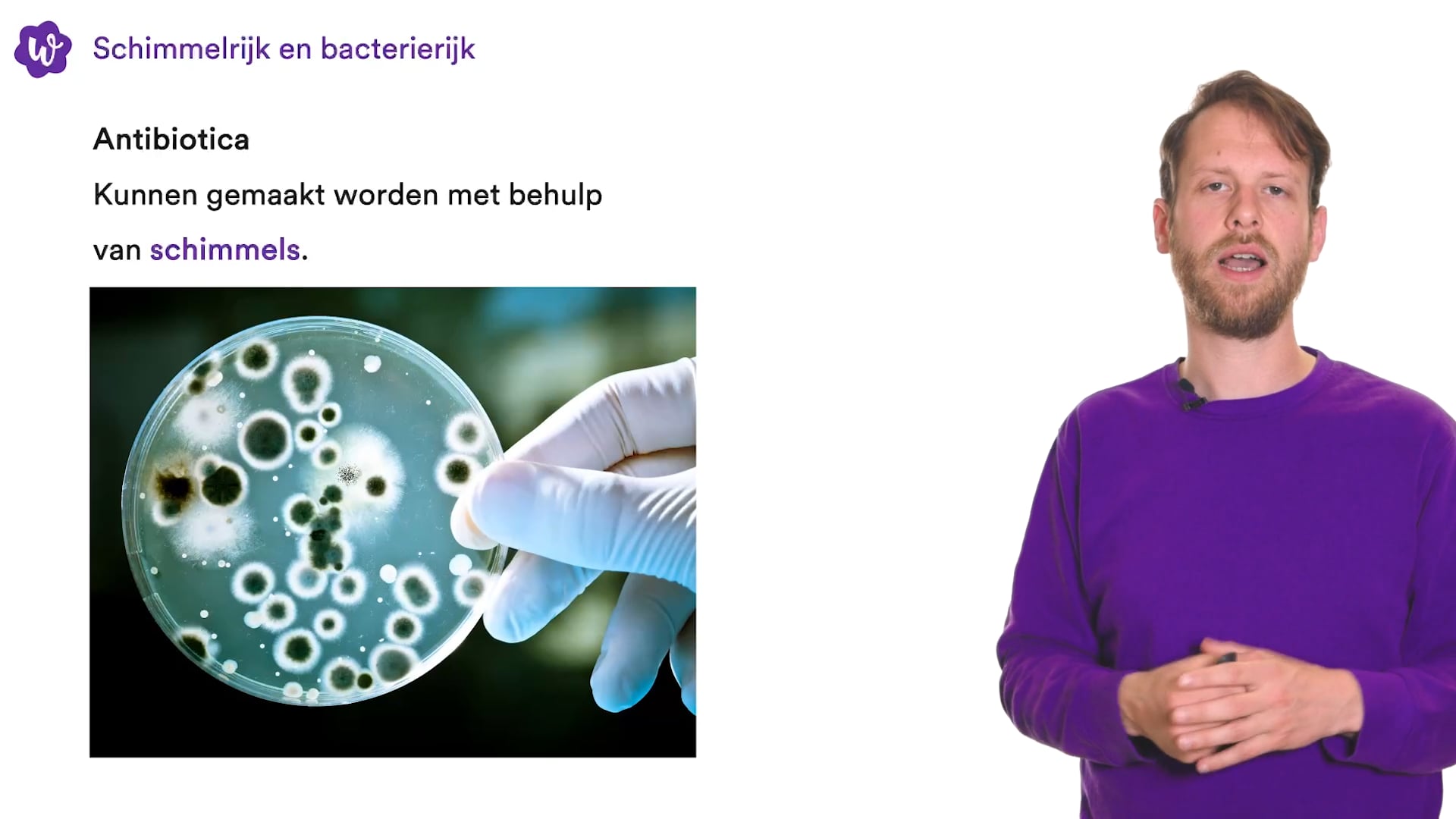Schimmelrijk en bacterierijk oefenen | StudyGo
