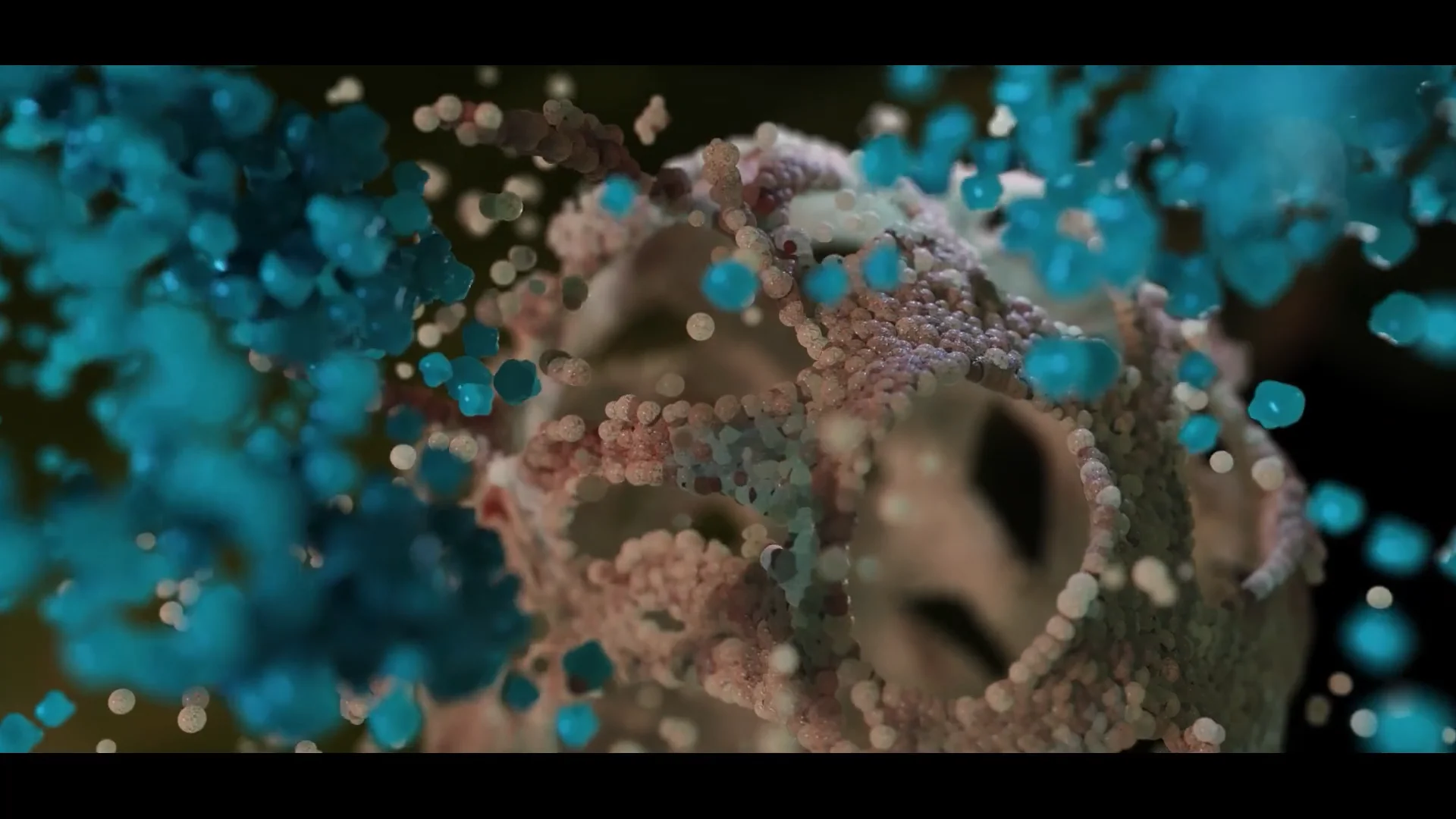 Cohesion Studios medical animation showreel