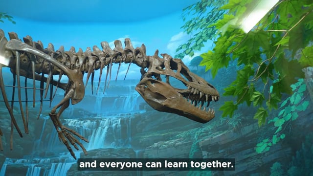 Play Rochester - The Strong National Museum of Play