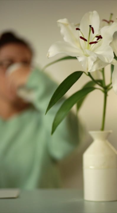 resource library on Vimeo