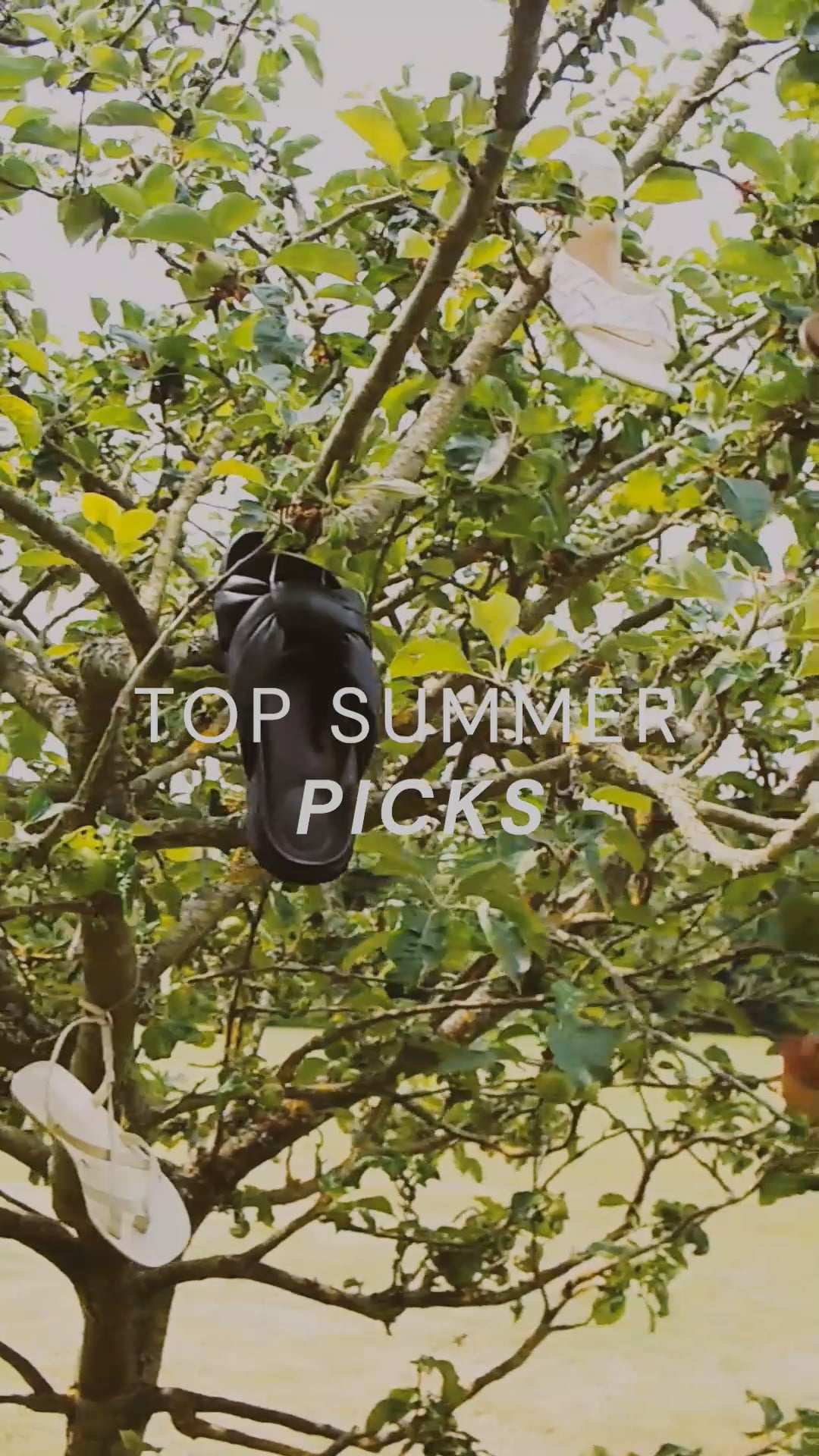 Sequence 02 on Vimeo