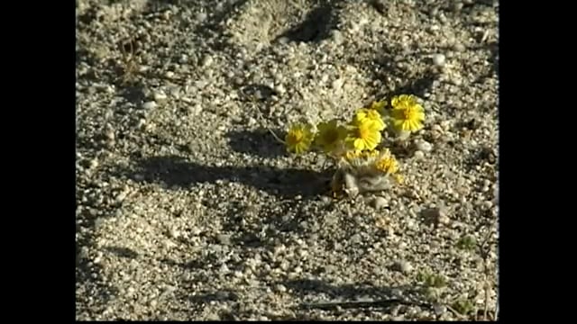 California State Parks_ Russ Christoff visits Red Rock Canyon State ...