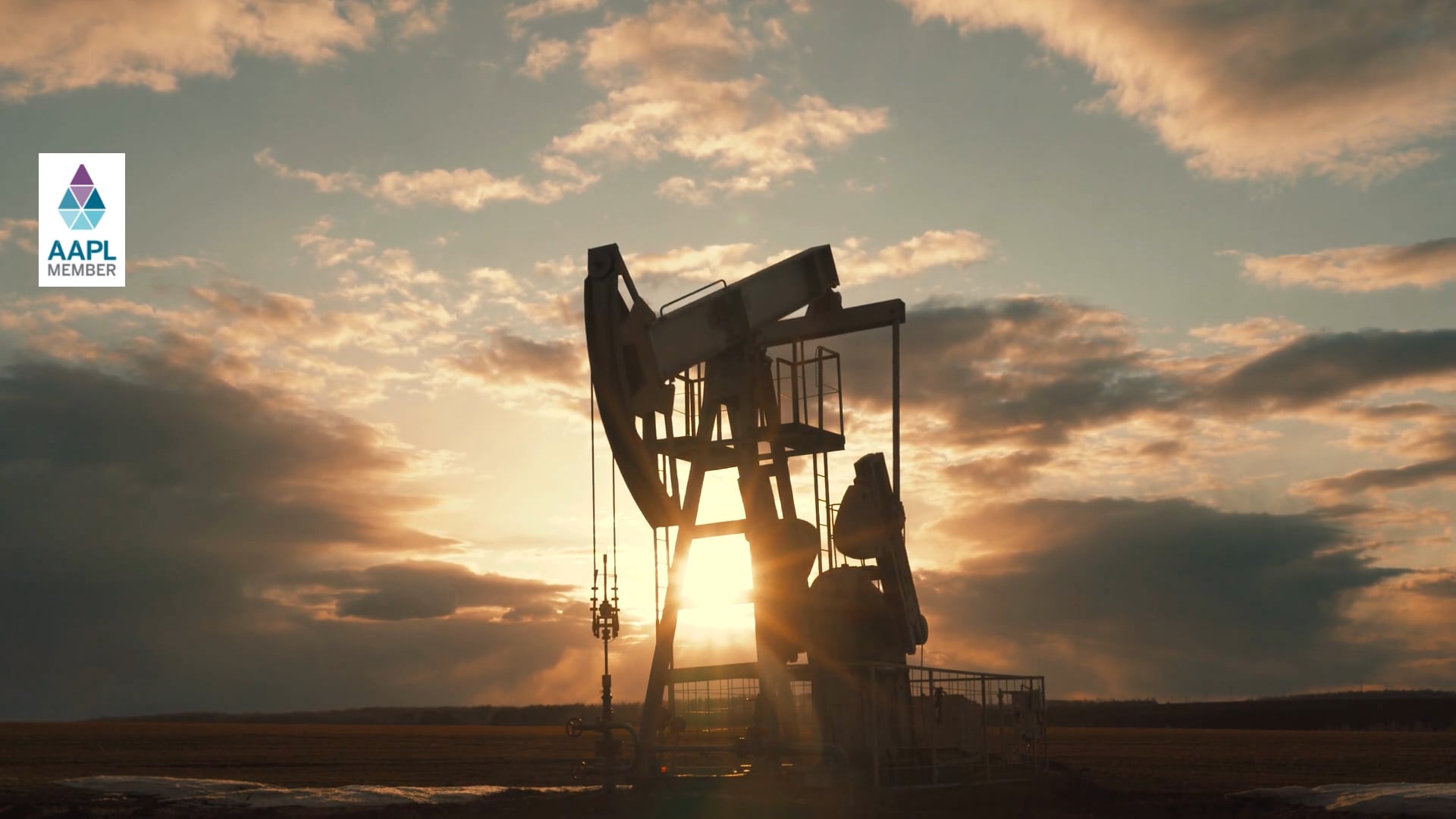 Turner Petroleum Land Services, Inc. - Professional Landman