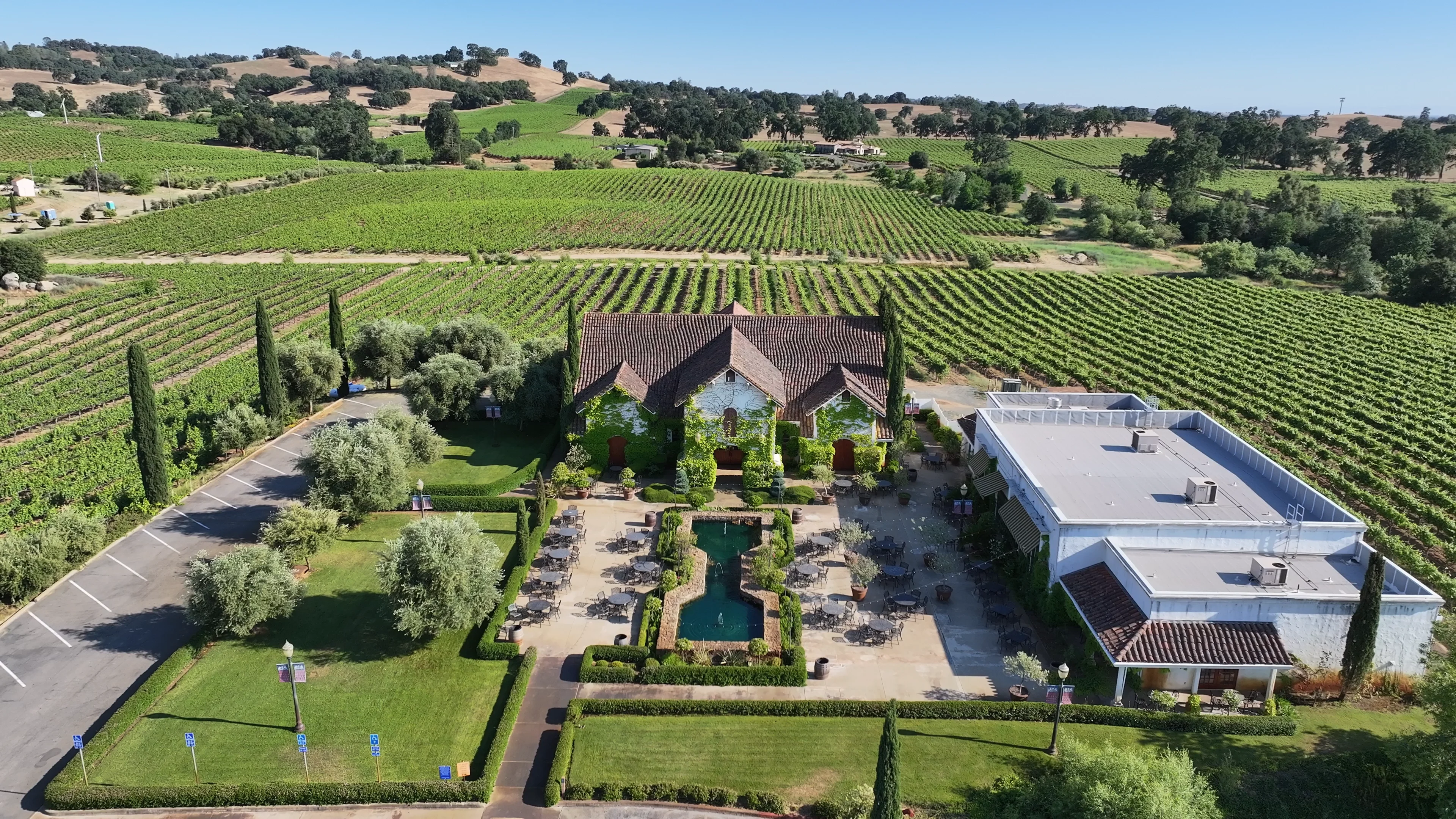 Bella Piazza Winery