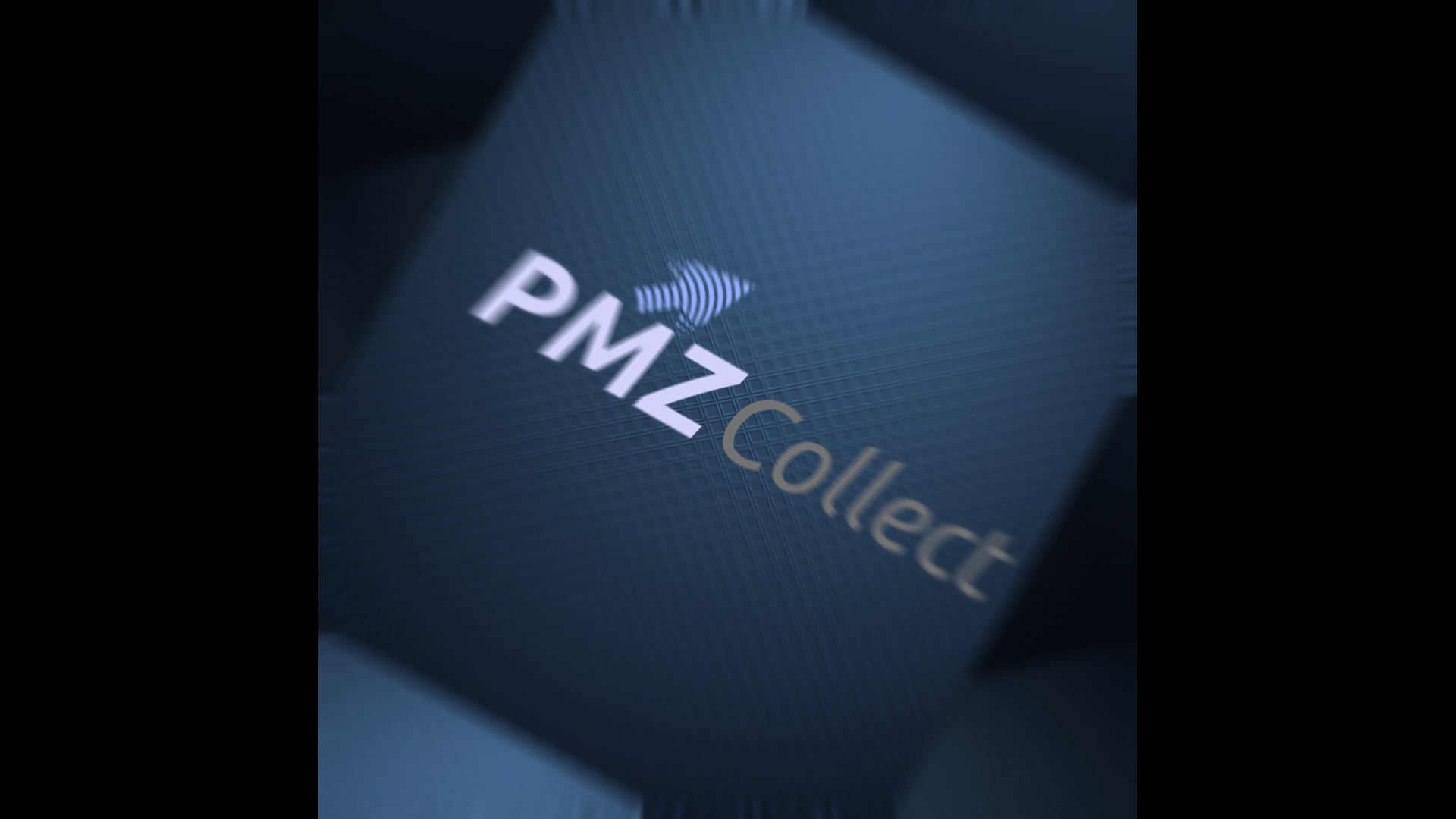Pmz Collect - Collectibles, Pokemon Tcg, Trading Cards