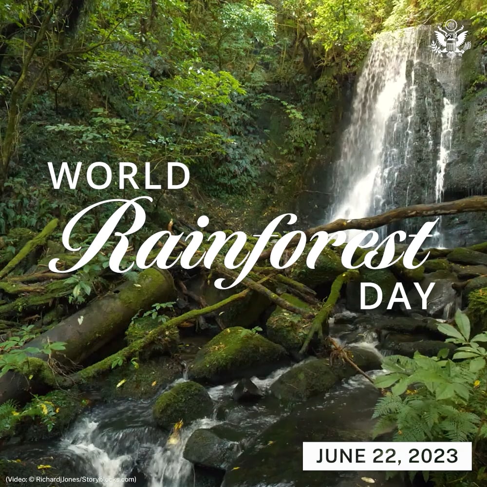 06_20_World_Rainforest_Day_1 on Vimeo