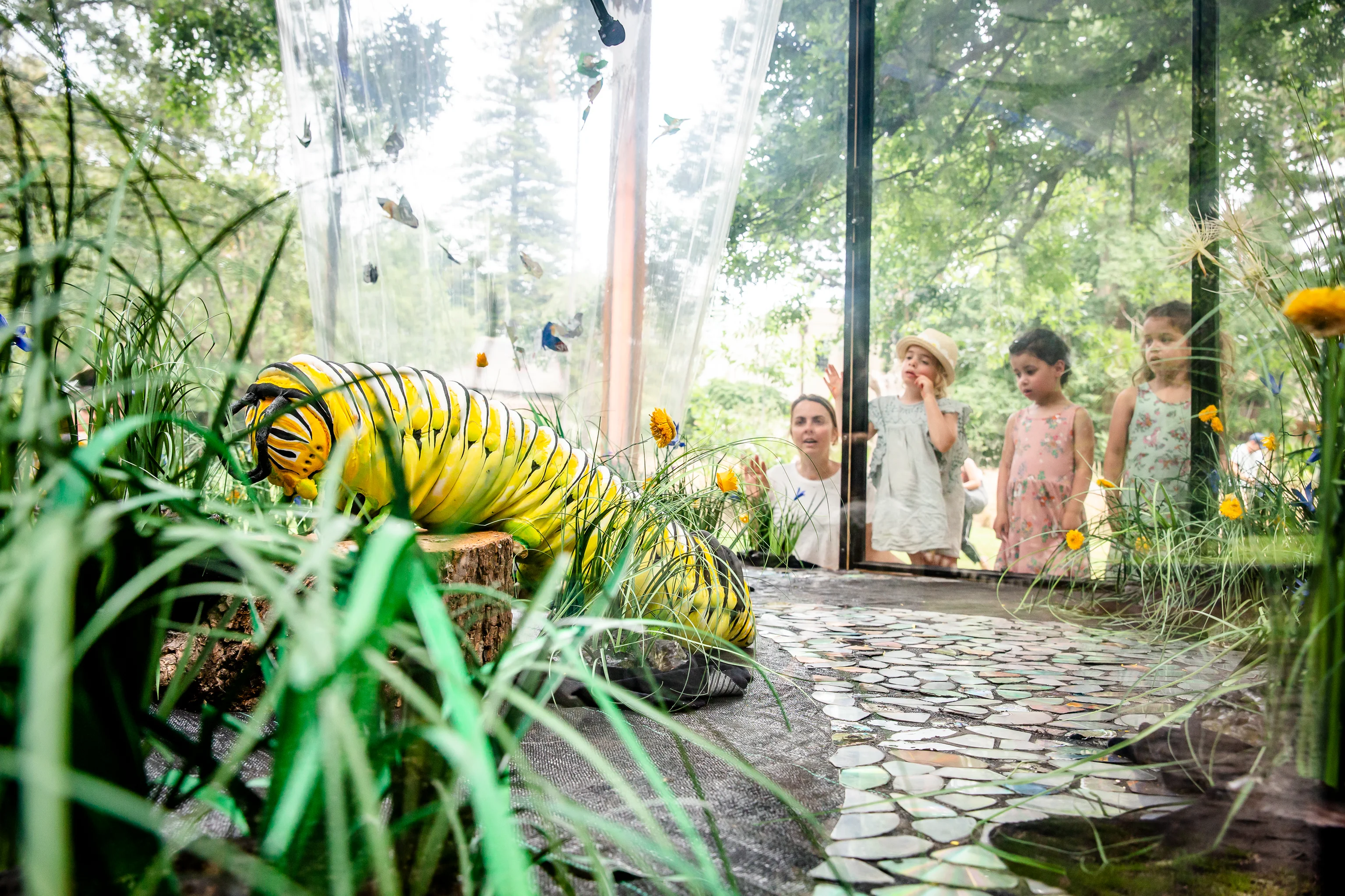 Butterfly House @ Royal Botanical Gardens