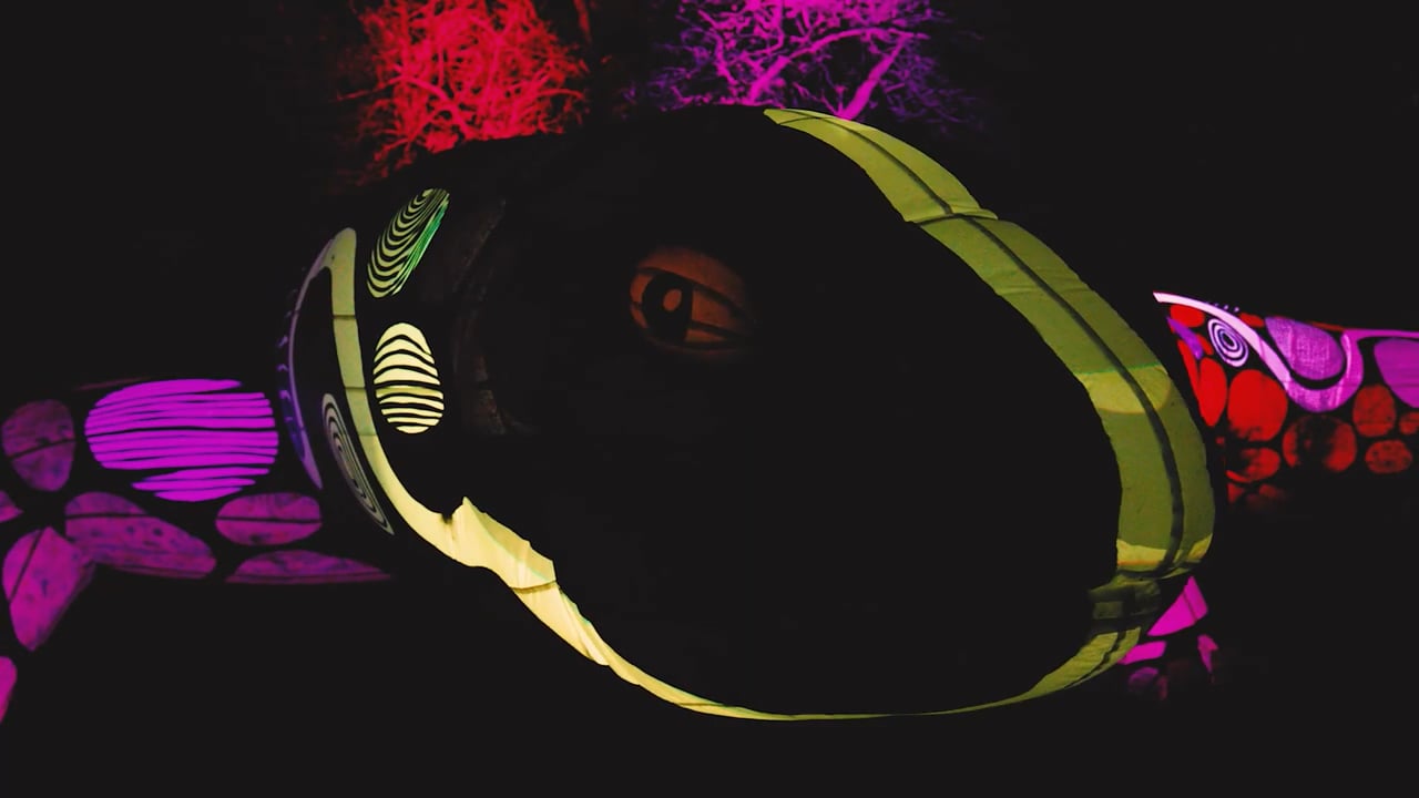 Electric Kingdom The Ultimate Event Experience