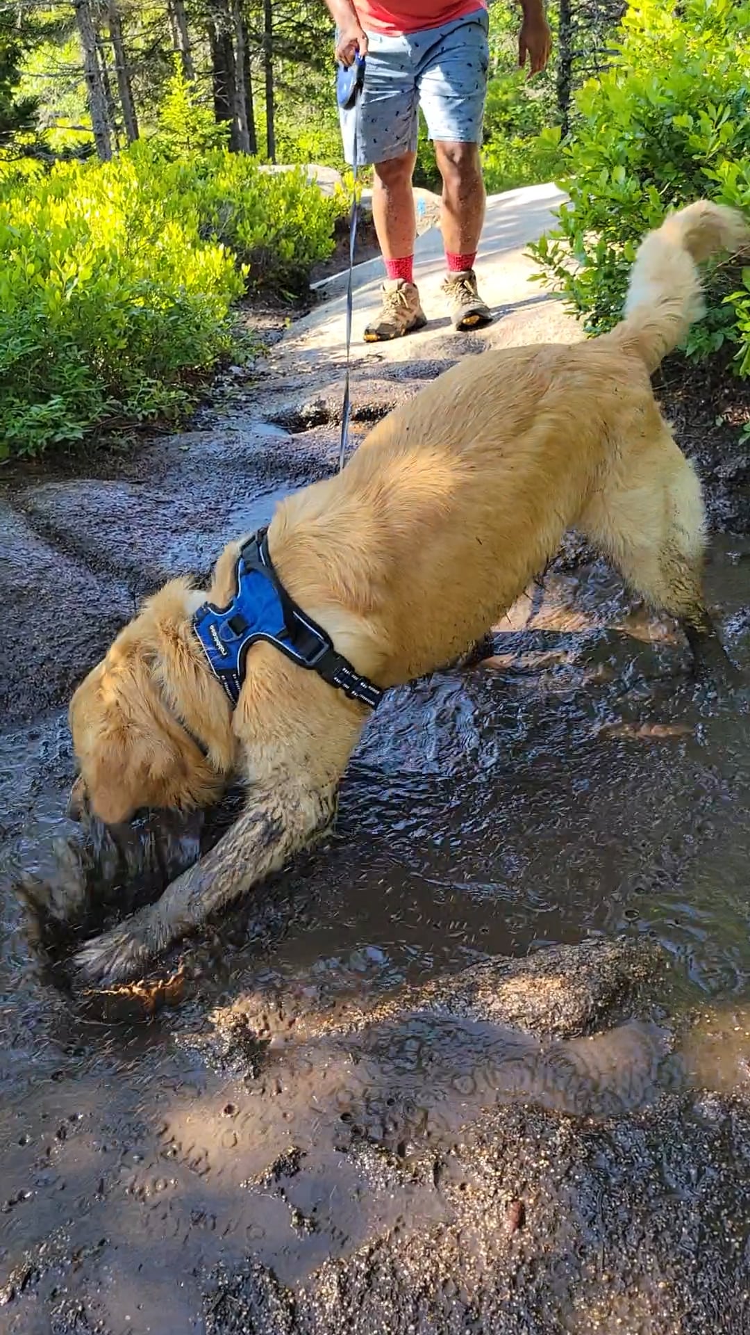 Loving the mud on Vimeo