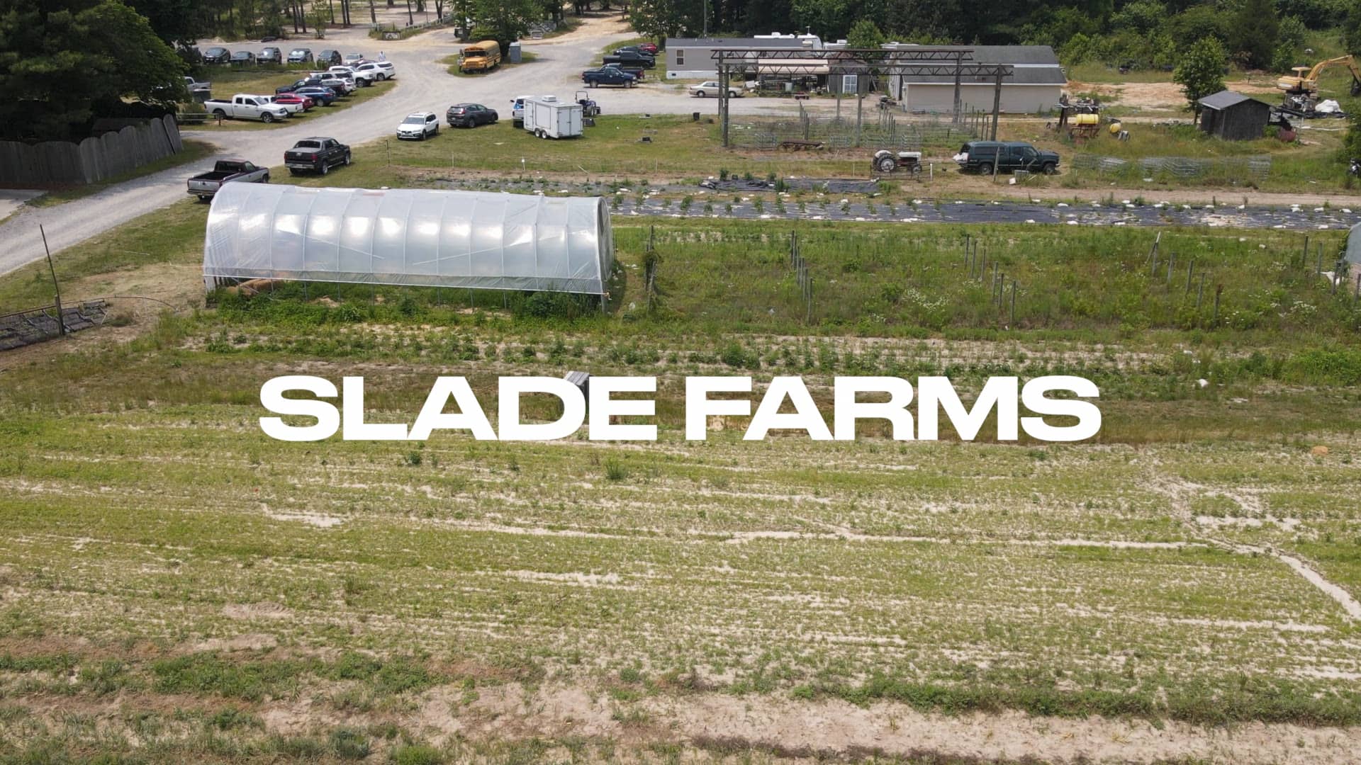Slade Farms- Elephant Garlic on Vimeo