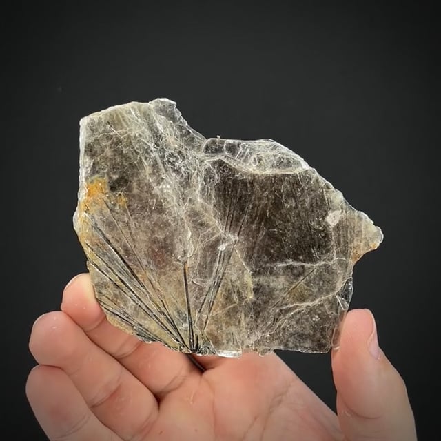 Tourmaline (RARE!) in Muscovite | Foote Lithium Co. Mine, Kings Mtn ...