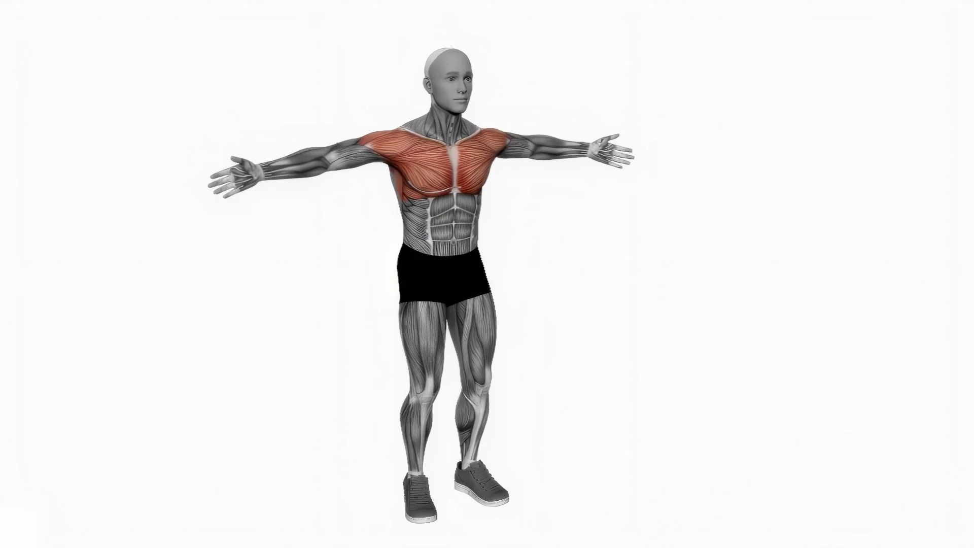 Back slaps wrap around stretch.mp4