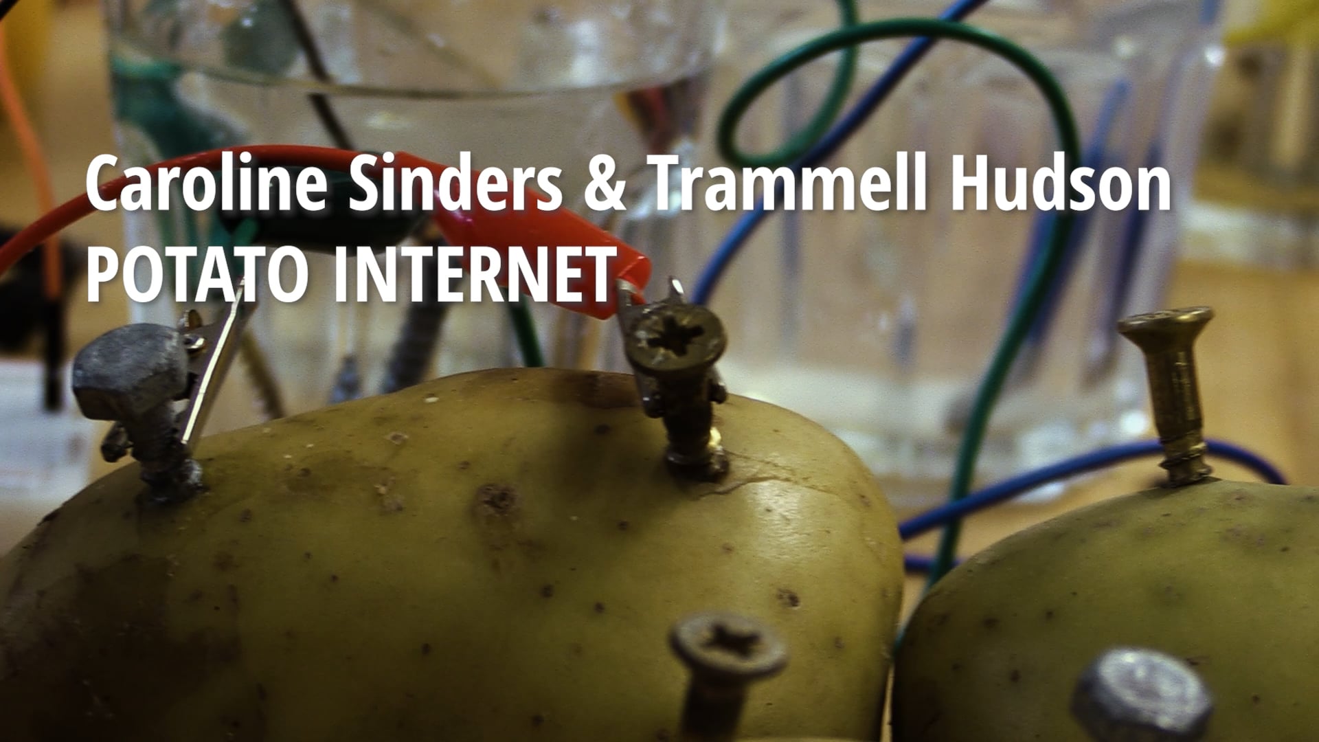 POTATO INTERNET on Vimeo