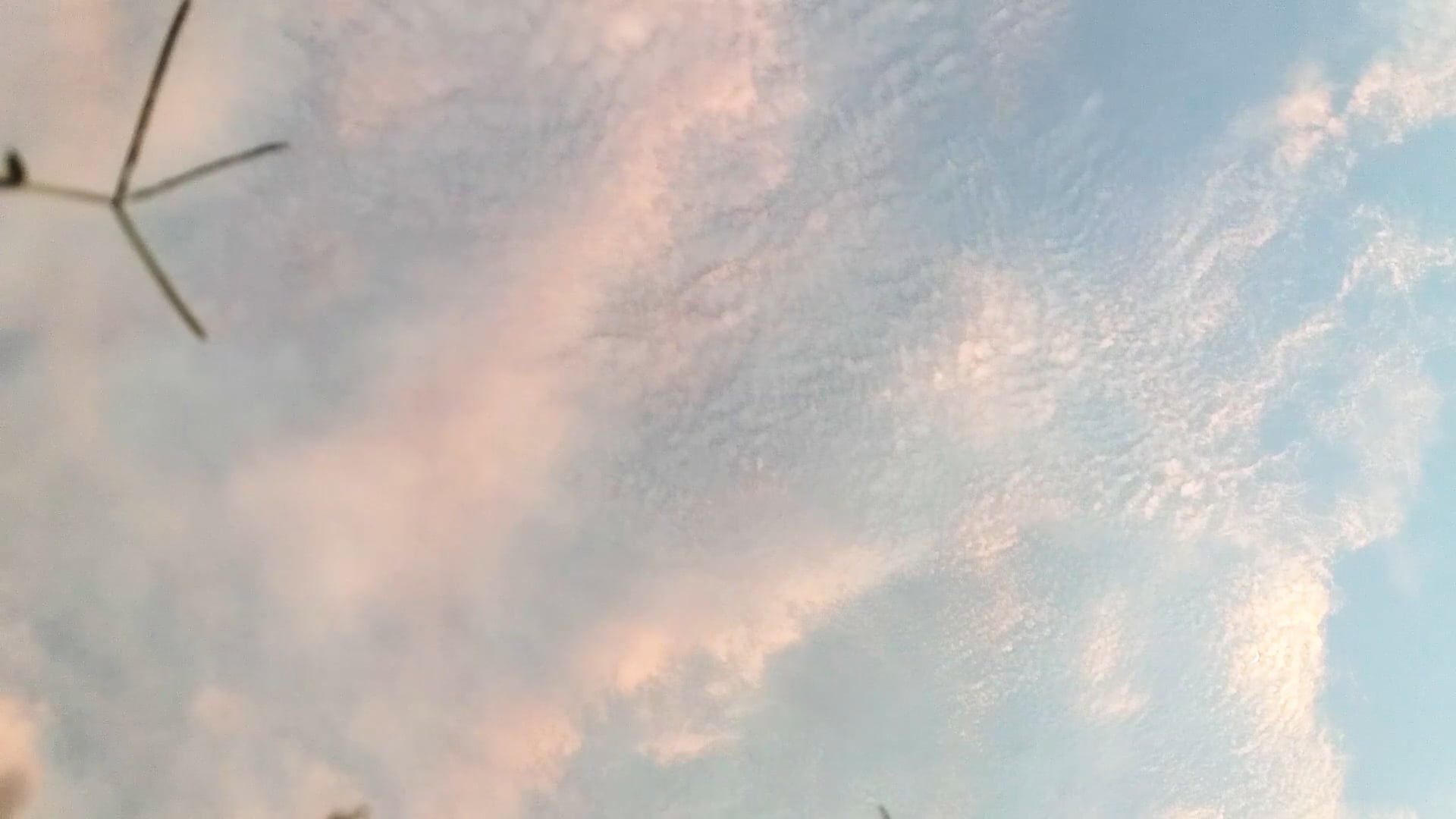 pexels-ramesh-ravi-2297218-1920x1080-30fps on Vimeo