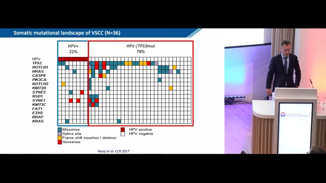 Practical approach to vulval epithelial lesions – The British ...