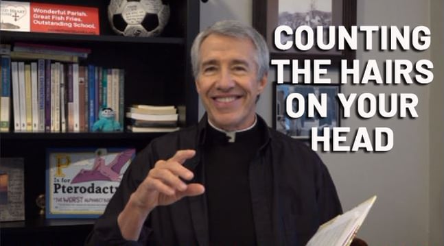 Counting the Hairs on Your Head on Vimeo