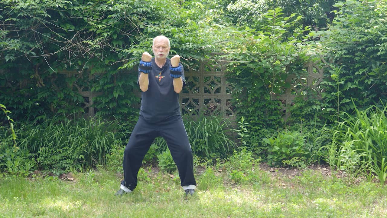Iron Arm Qigong Practice on Vimeo