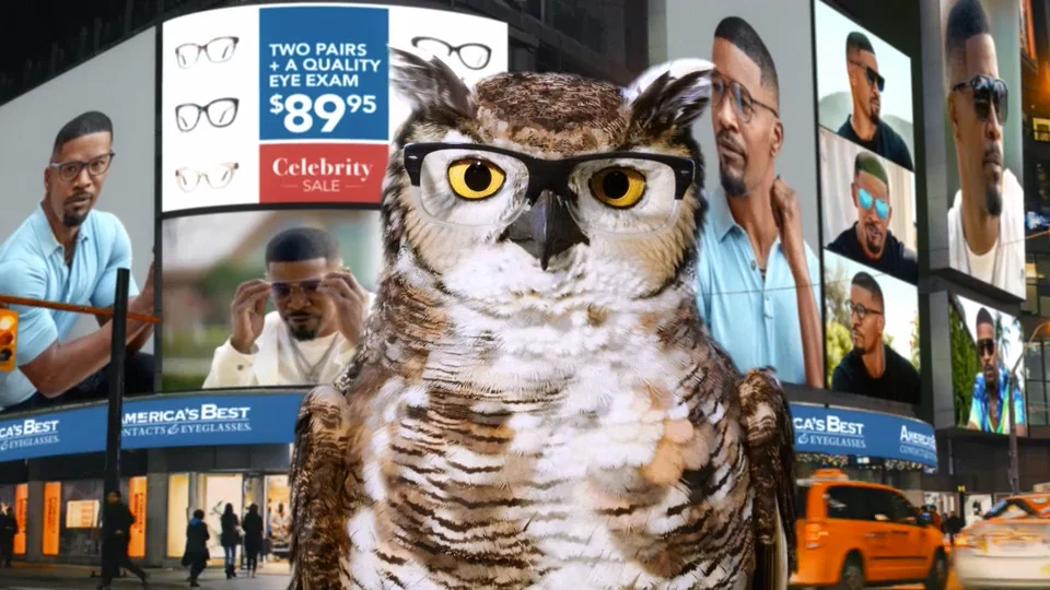 America's Best – Spectacle