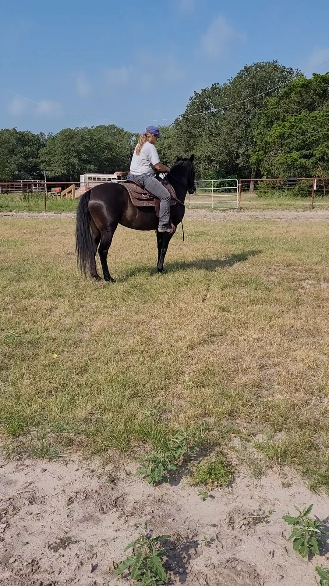 Molly May Bea Playin