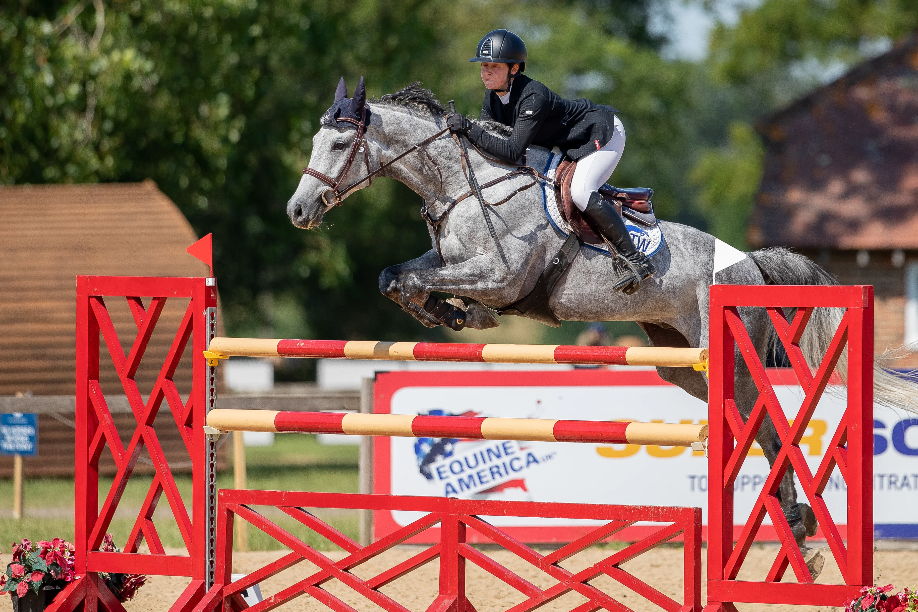 Senior Foxhunter Second round with interview on Vimeo