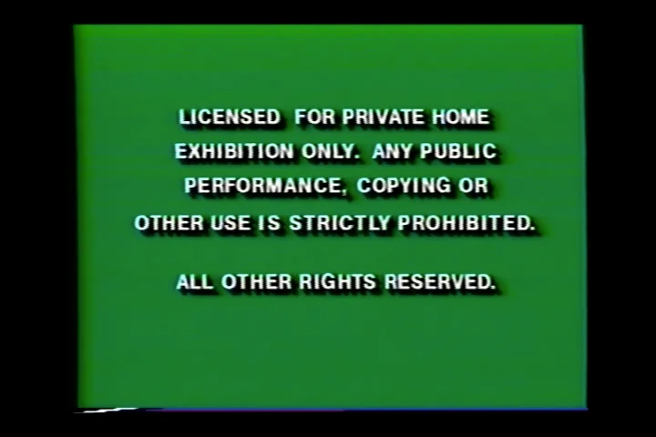 Winnie the Pooh and the Honey Tree (1995 VHS)