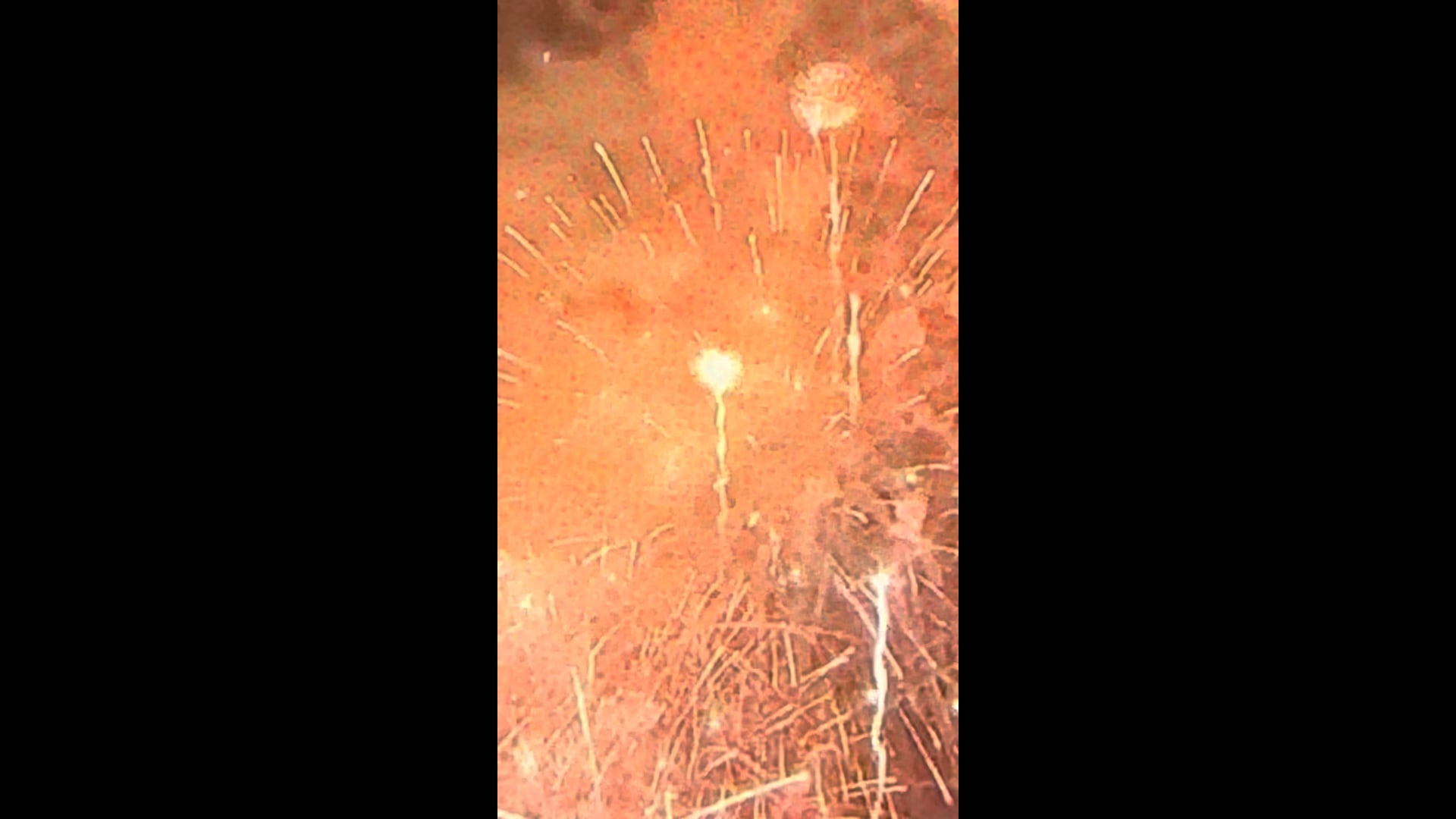 The Meetchop - Cooking Classes, Cooking Class Schedule