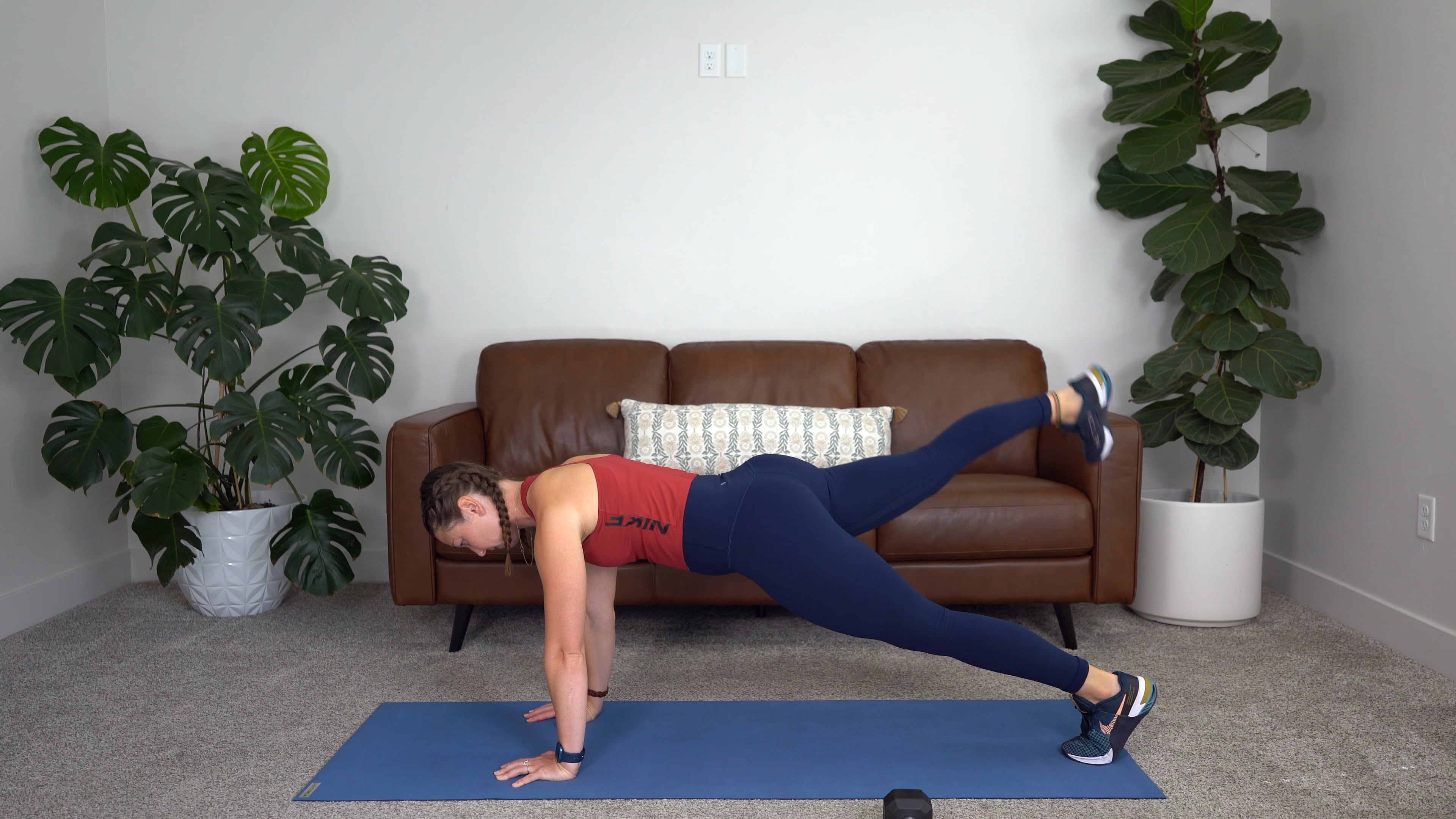 Plank Hold Leg Lift on Vimeo