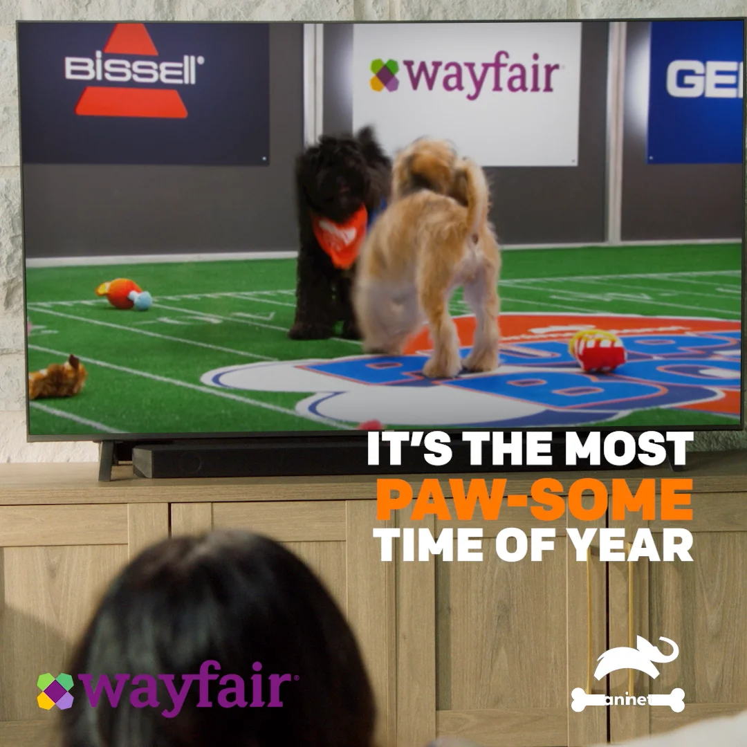 Animal Planet -Wayfair - Puppy Bowl Social 60 on Vimeo