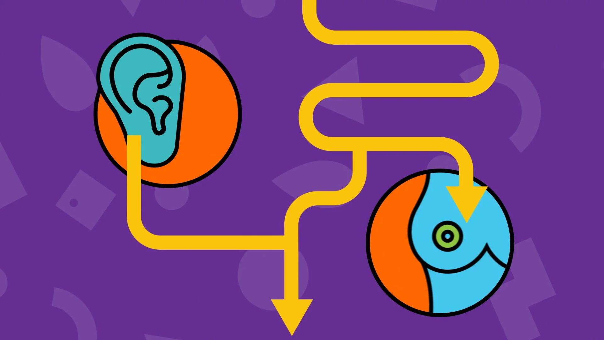 Types of sex on Vimeo