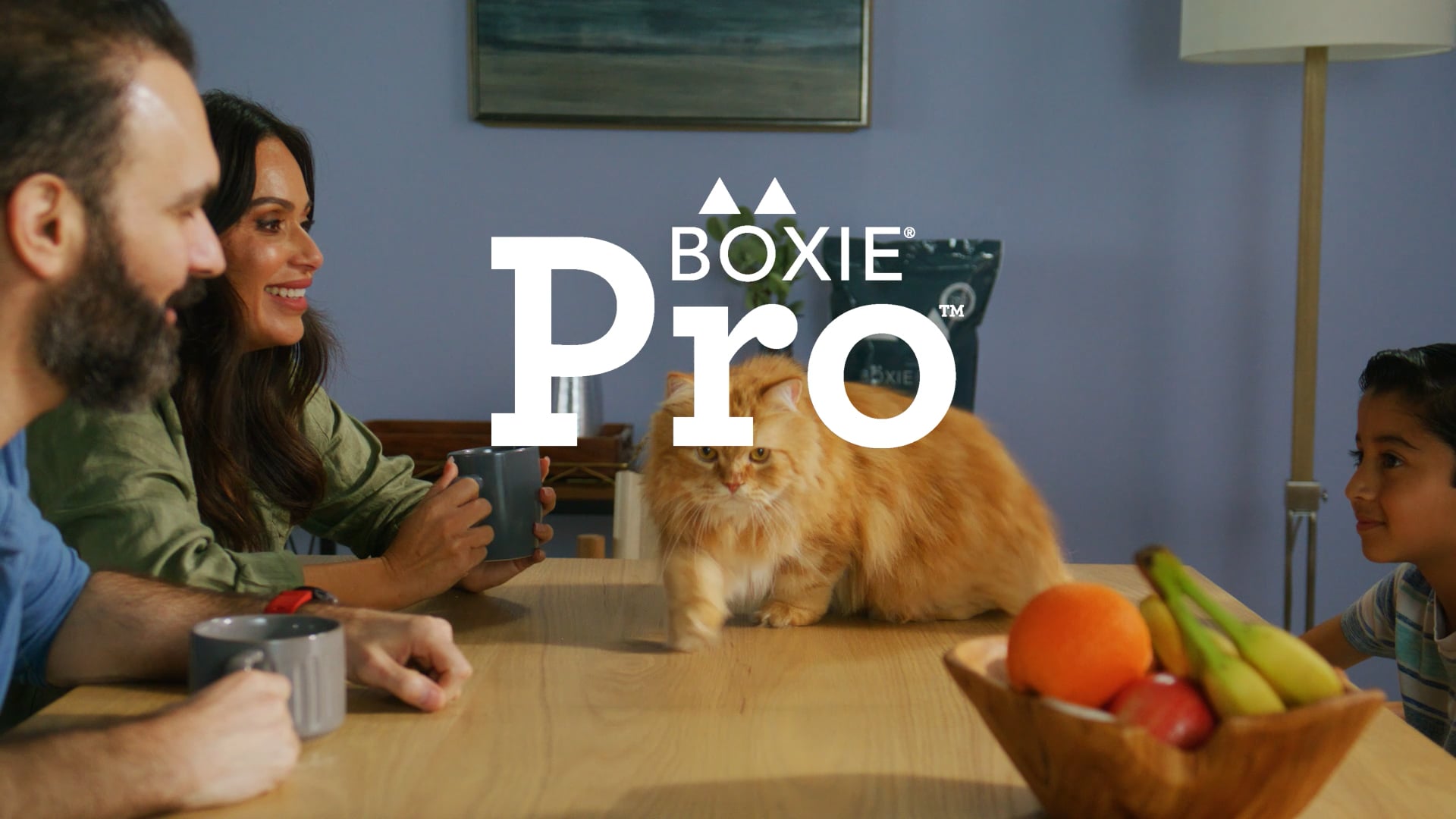 Boxie Pro 15 sec video on Vimeo