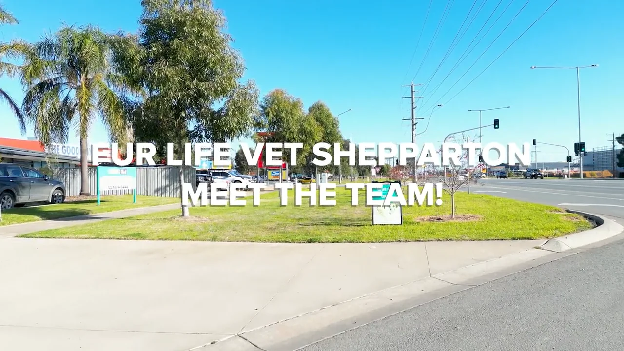 Fur Life Vet Shepparton - Meet The Team