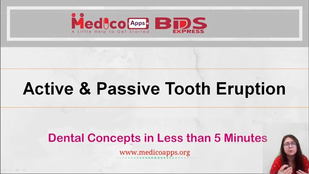 Active & Passive Tooth Eruption