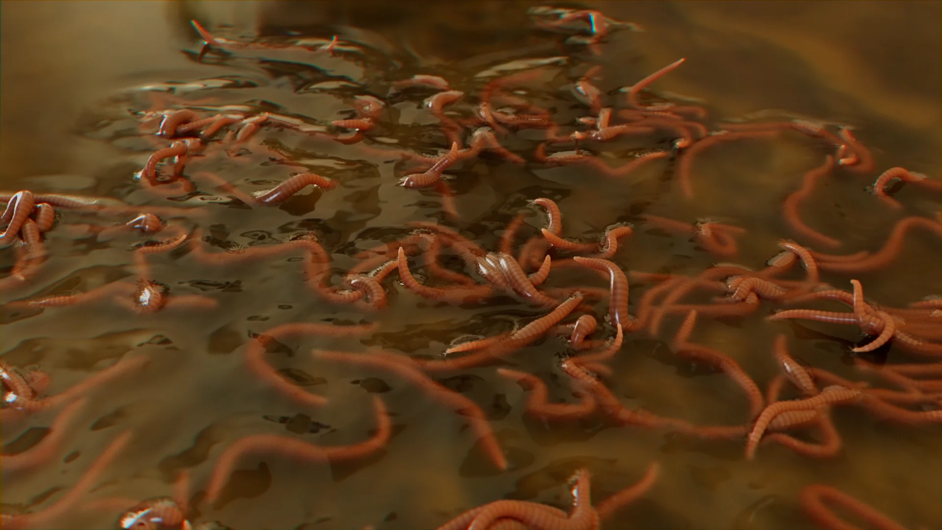 Houdini Procedural Worms on Vimeo