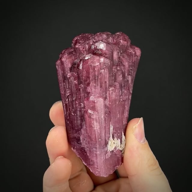 Rubellite Tourmaline | Lục Yen Dist., Yen Bai Prov., Vietnam