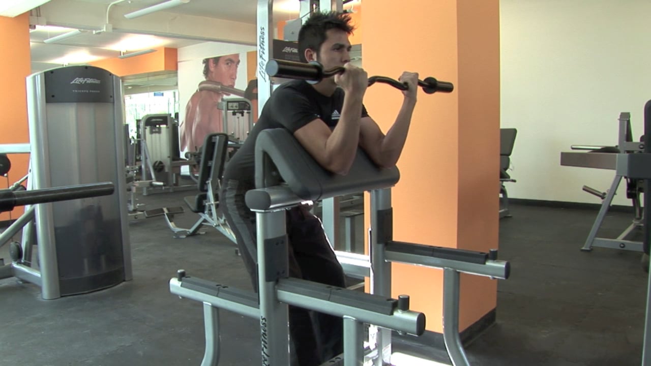 BICEPS CURL PREDICADOR CON BARRA Z on Vimeo