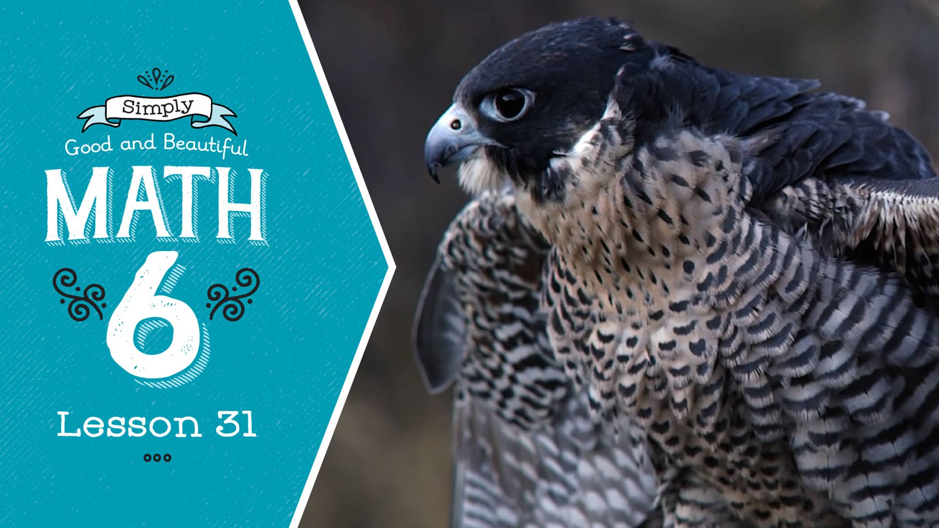 Lesson 31 | Simply Good and Beautiful Math 6 on Vimeo