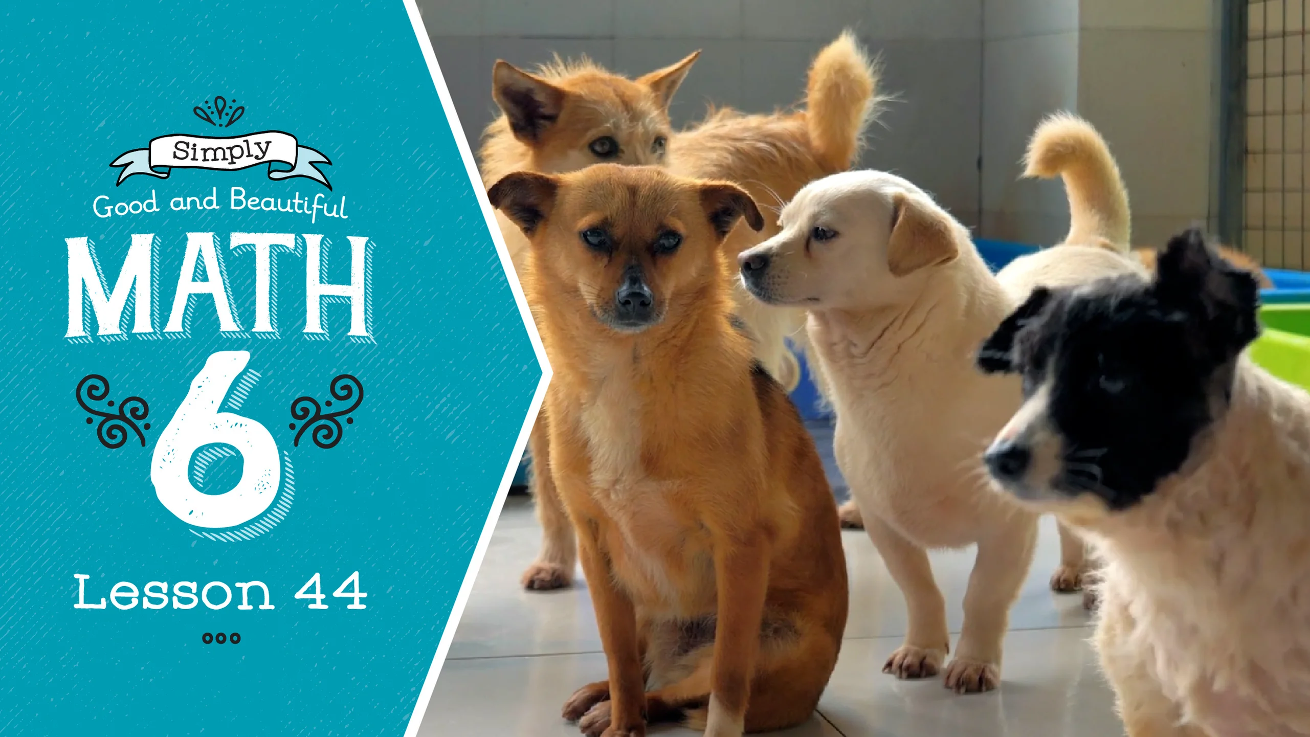 Lesson 44 | Simply Good and Beautiful Math 6