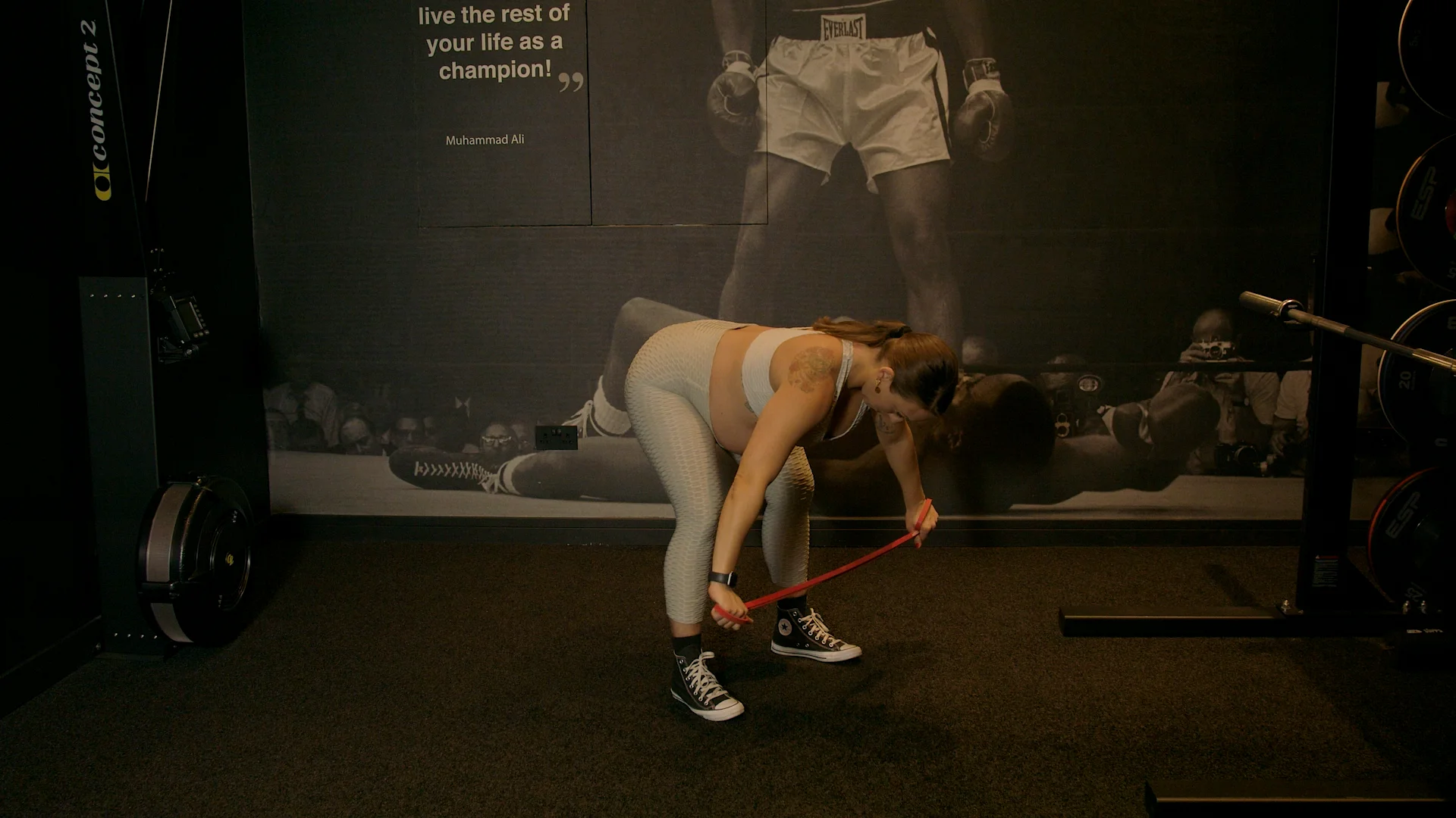 Banded reverse flies on Vimeo